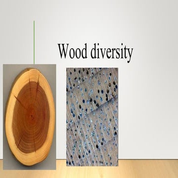 Wood anatomy and structure , wood and its products | PDF