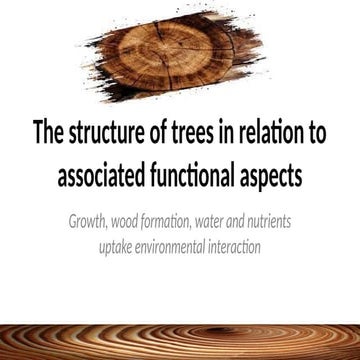 wood formation and its tyes detail .pptx