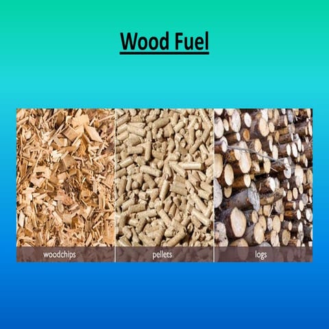 Wood fuel presentation(davido s) | PPTX