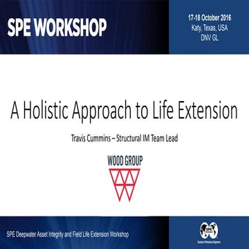 Wood Group - A Holistic Approach to Life Extension | PDF