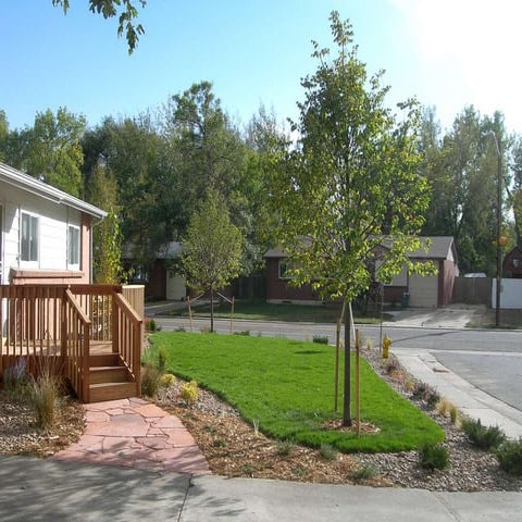 Arvada Residential Landscape Makeover- Fall 2009 | PPT