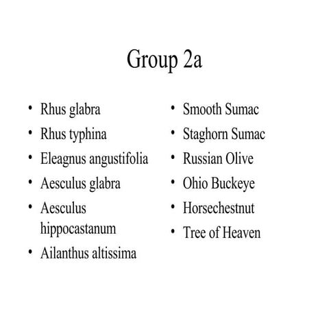 Woody Plants Group 2a | PPT