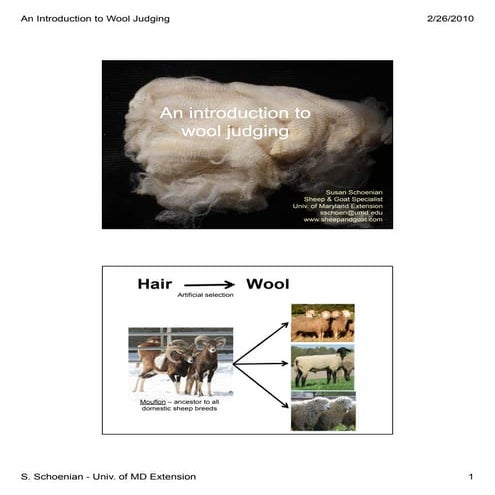 Wool Judging | PDF