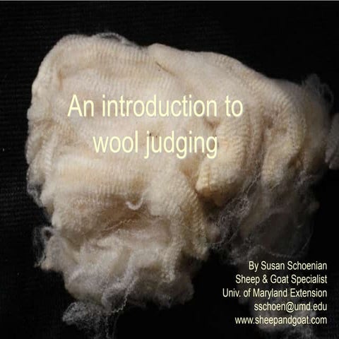Wool judging | PPTX
