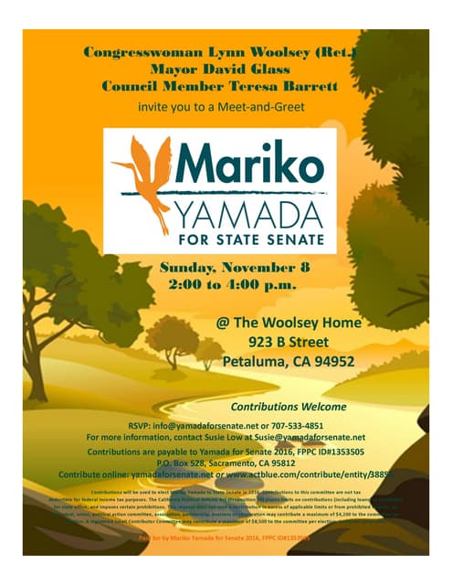 Social Media Graphics - State Senate Campaign | PDF