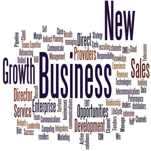 Business Development Skills | PPTX | Business Administration | Business