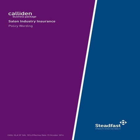 SalonCover Insurance, Policy Wording | PDF