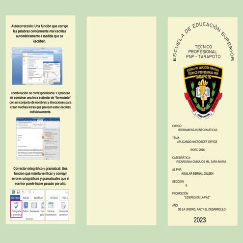 word pnp.pdf