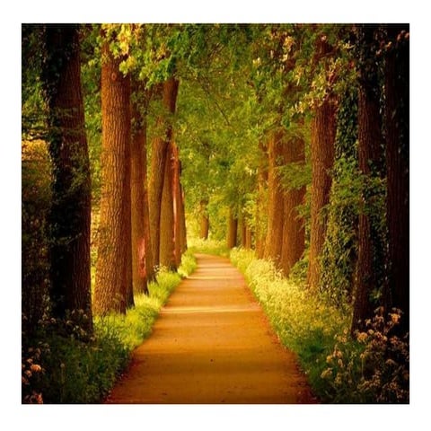 Wordpress Sidebar | PPT