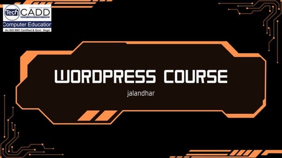 Steps to Become a Professional WordPress Theme Developer | PDF