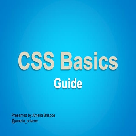 WordPress User MeetUp CSS Basics Guide | PPT