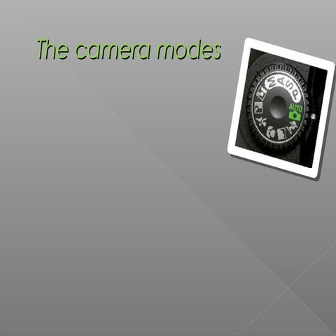 Wordpresss | PPT | Cameras and Camcorders | Consumer Electronics
