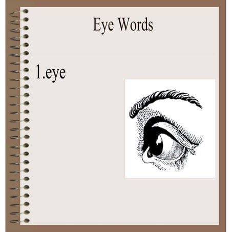 Words Based On The Word Eye[1] | PDF | Makeup and Accessories | Beauty
