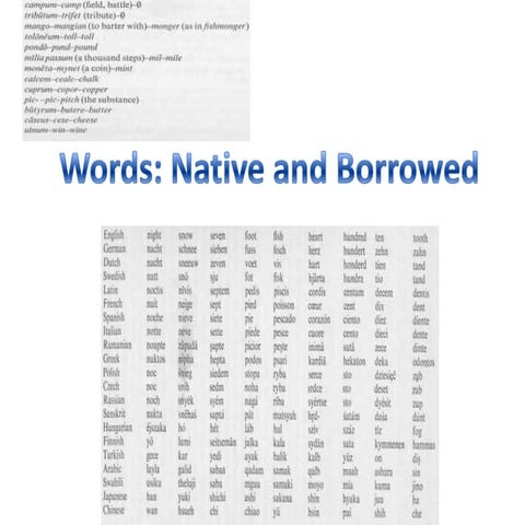 Ppt native words and borrowed | PPTX