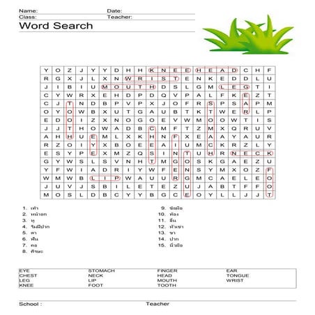 Wordsearch Parts Of Body Pdf