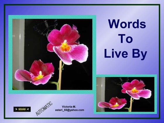 One moment in time | PDF