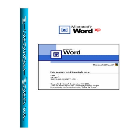 Word xp | PDF