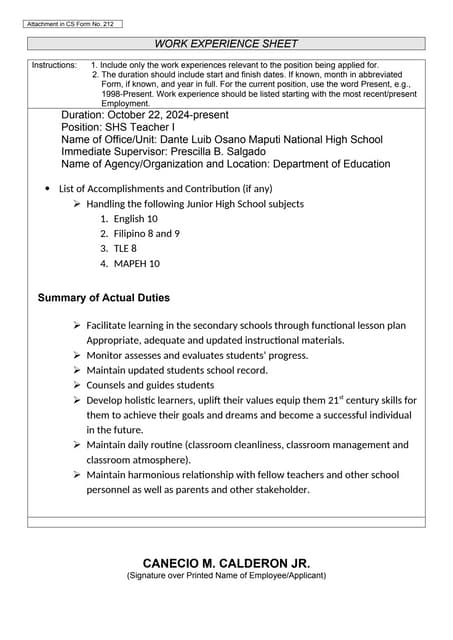 Work Experience Sheet Sample for T-III.docx | Resume Writing and Advice ...