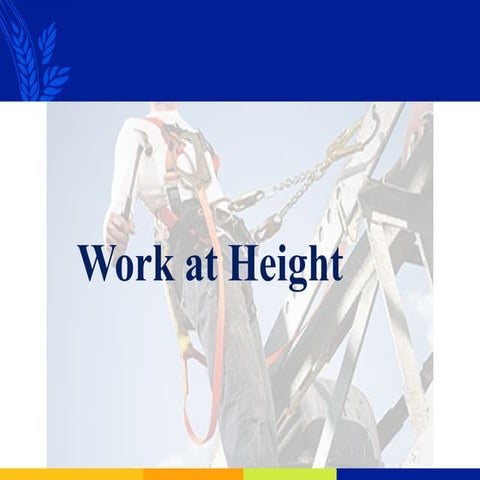 Work at Height presentation for industries | PPTX