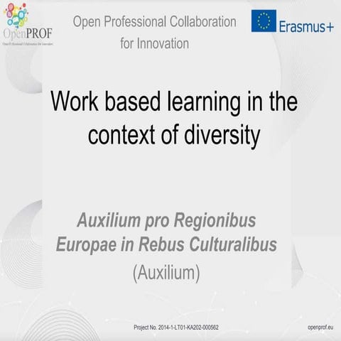 Work based learning - context diversity | PPTX