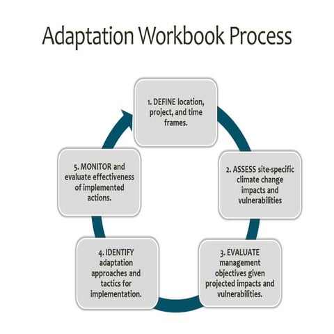 Adaptation Workbook Steps | PPT