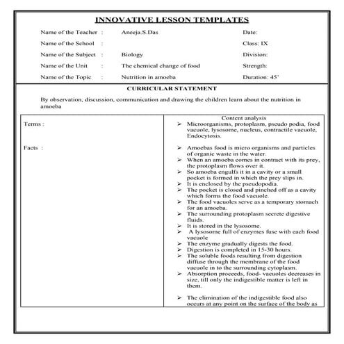 INNOVATIVE LESSON TEMPLATES | PDF