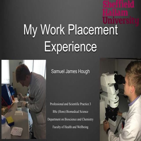 Work experience placement | PPTX