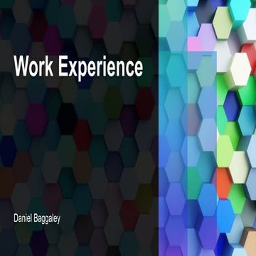 work experience presentation.pptx