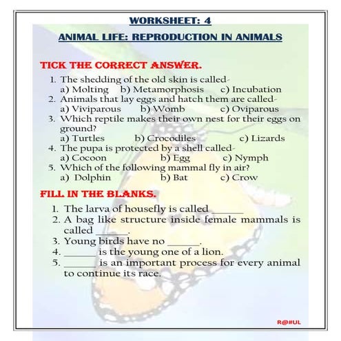 Reproduction in animals-WORKSHEET | PDF