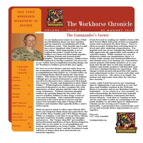 The 603rd ASB "Workhorse Chronicle", August 2013 | PDF