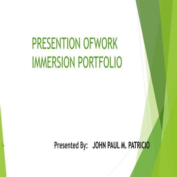 Work Immerstion Portfolio.pdf