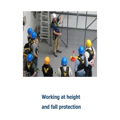 Working at Height Presentation.pptx