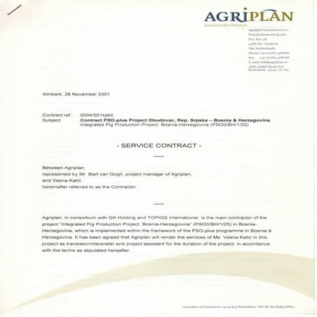 Working Experience Pdf