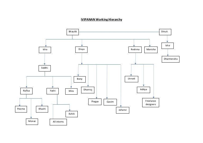 Working hierarchy.pdf