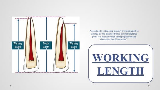 Endodontic Access Opening and Canal Location | PDF