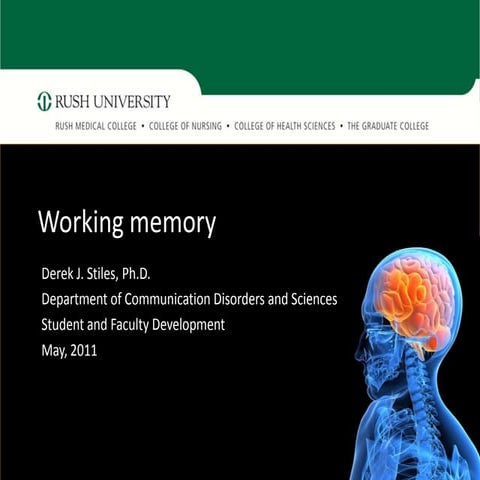 Working memory | PDF