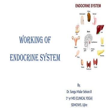 working of endocrine system dr sangu.pptx