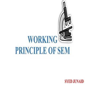 WORKING PRINCIPLE OF SEM.pptx