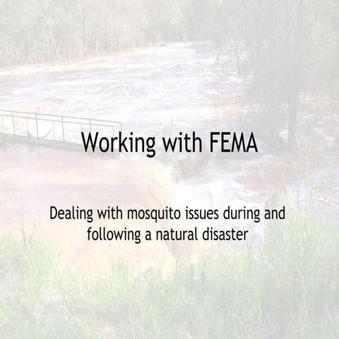 Working With FEMA | PPT