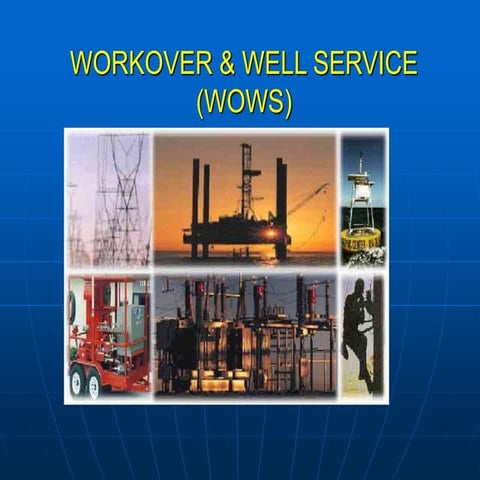 WORKOVER WELL SERVICE_______________________ | PPT