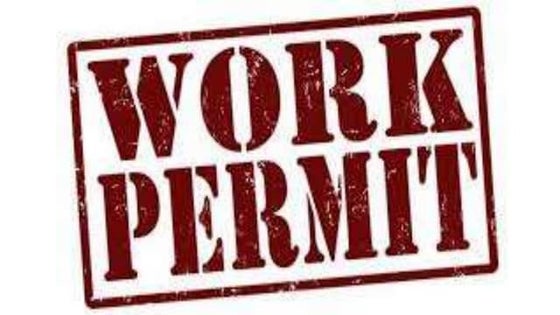 Work Permit System | PPT
