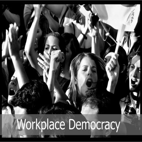Workplace Democracy | PDF