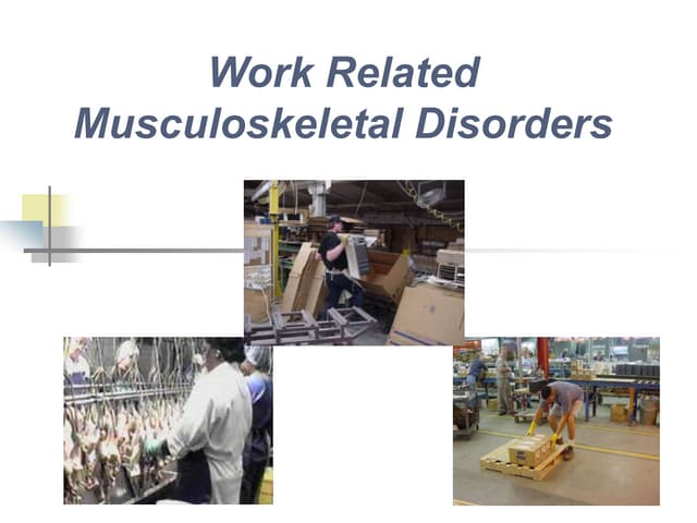 Musculoskeletal System Disorders | PPT