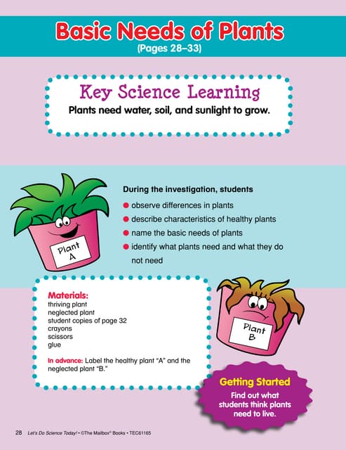 Basic Needs Of Plants | PPT