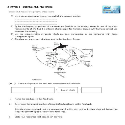 WORKSHEET TO REVISE THE CHAPTER 5 OCEANS | PDF