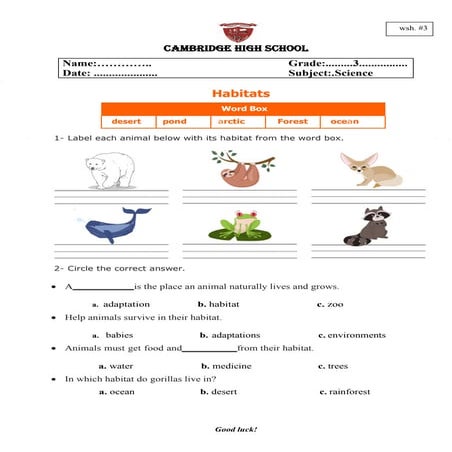 Plants Habitat Worksheets For Grade 1