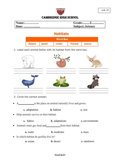 animals and their habitats.pdf