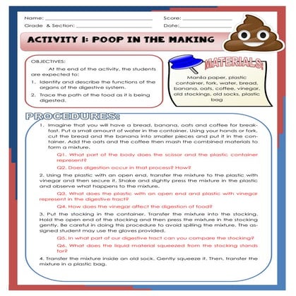Digestive System Worksheet- Parts and Function, Digestion | PDF