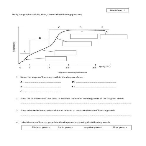 Worksheet 1-Growth | DOCX | Physics | Science