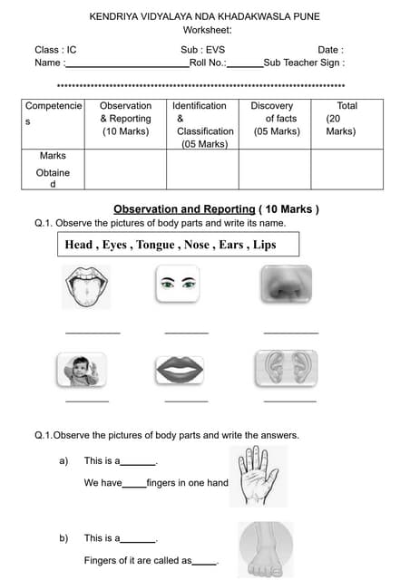 1 Worksheet Primary class kv ENGLIST , EVS | PDF